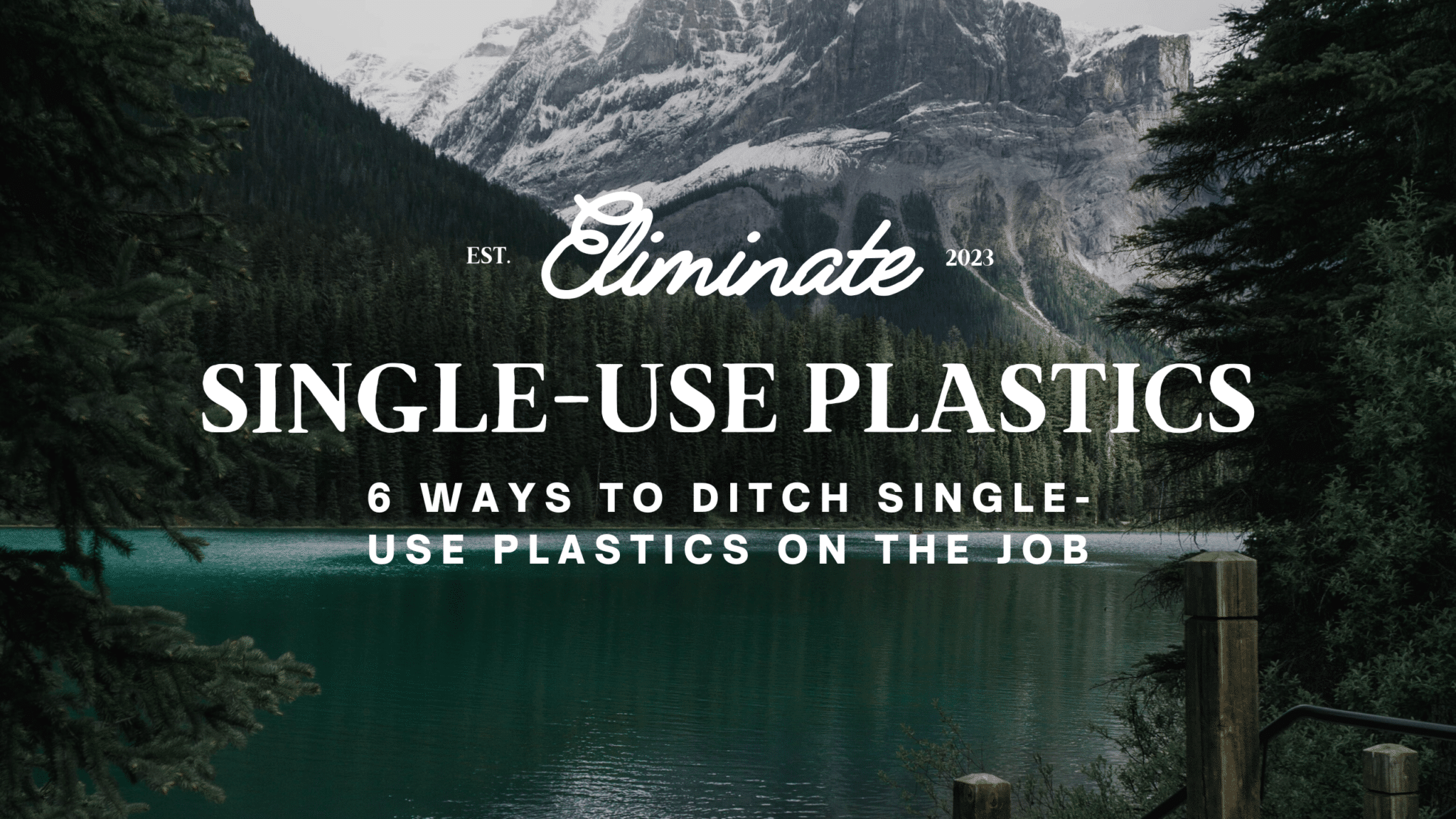 Eliminate Single-Use Plastics: 6 Ways to Ditch Them - SupplyClub