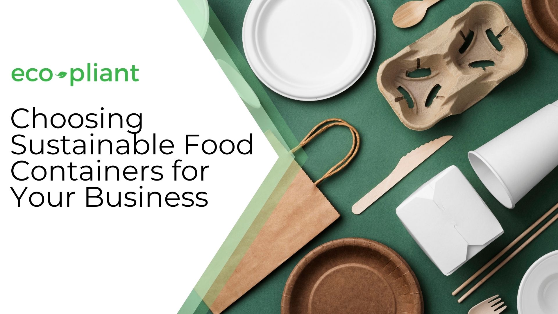 Choosing Sustainable Food Containers for Your Business: Easy Guide